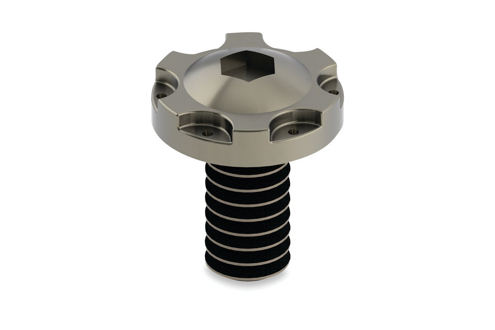 Seat Screw for H-D