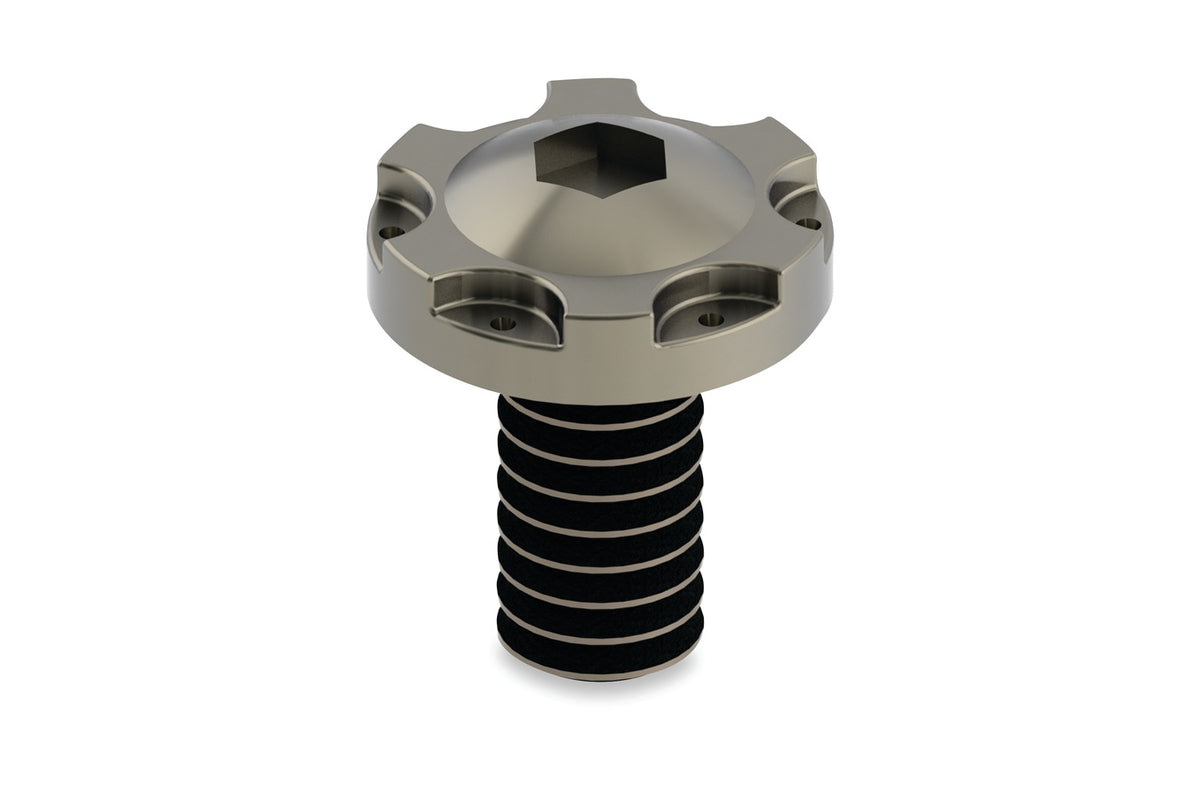 Seat Screw for H-D